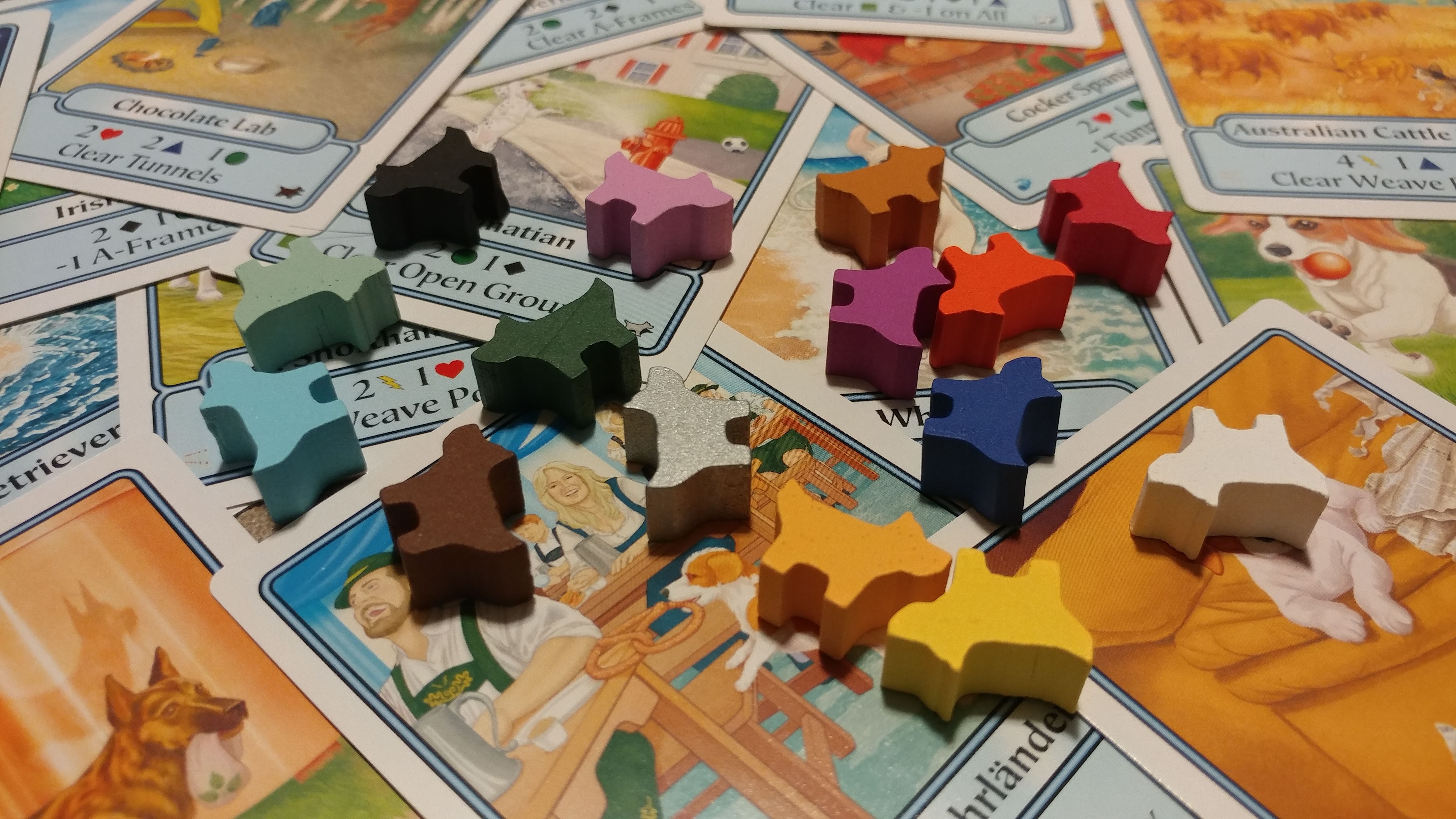 1021192257a - One Board Family