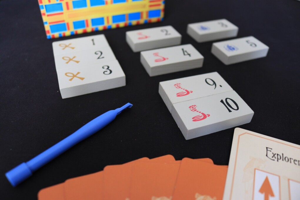 Tanis Review - One Board Family