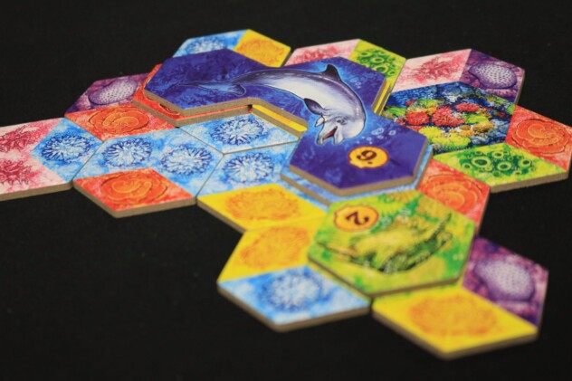 AQUA player board - One Board Family